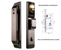 China Automatic Biometric Tuya Smart Lock IC Card Wifi App Unlock for Home Security for sale