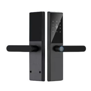 China Password RFID Card Key TT Door Lock Electric for Hotel Apartment for sale
