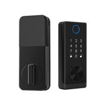 China Front Door TUYA APP Fingerprint Electronic Deadlock Smart Door Lock for sale