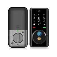 China Tuya Wifi Bluetooth Lock Electronic Fingerprint Keyless Door Lock IPX4 for sale