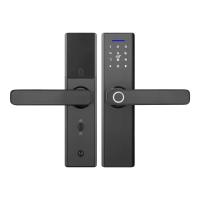 China Door Fingerprint WiFi Bluetooth Lock Digital Black 154*63*24mm for sale