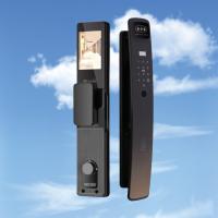 China Automatic Biometric Digital Lock for Home Smart Lock Outdoor Wifi Smart Lock for sale