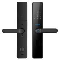 China TTlock Tuya Wifi Enabled Fingerprint Digital Door Lock for Glass Doors for sale