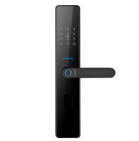 China TTlock Tuya Wifi Enabled Fingerprint Digital Door Lock for Glass Doors for sale