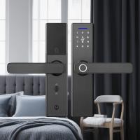China Electric Digital Door Lock Eu Standard Fingerprint Handle Door Lock Waterproof for sale
