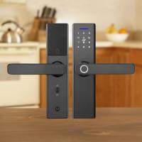 China Electric Digital Door Lock Eu Standard Fingerprint Handle Door Lock Waterproof for sale