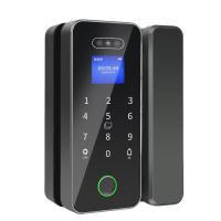 China Glass Smart Door Lock Office Glass Door Locks sliding glass door safety lock for sale