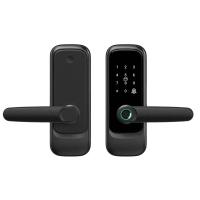 China Tuya Smart Glass Door Lock Digital With Fingerprint Bluetooth for sale