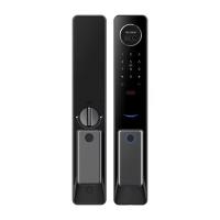 China Tuya Wifi Operated Door Locks Digital Face Scanner Door Lock Grey for sale