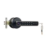 China Aluminum Alloy Handle Door Lock Tuya Controlled Smart for Home Room for sale