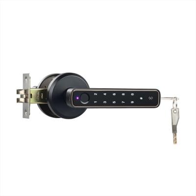 China Aluminum Alloy Handle Door Lock Tuya Controlled Smart for Home Room for sale