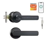 China Aluminum Alloy Handle Door Lock Tuya Controlled Smart for Home Room for sale