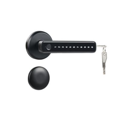 China Apartment Fingerprint Digital Lock Silver Black Keyless Security Handle Lock for sale