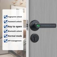 China Fingerprint Biometric Smart Handle Door Lock USB Charging for Bedroom for sale
