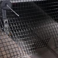 China 100ft 30.5m Solar Panel Bird Mesh Protection Proofing Quick Installation for sale