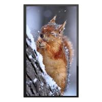 China LCD Digital display Signage Panels 49 Inch Capacitive Touch Screen For Phone Shop for sale