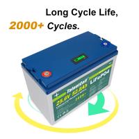 China 25.6V 52.8Ah Lifepo4 Golf Cart Battery 1351.68Wh Lithium Ion UPS for sale
