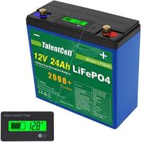 China 12v 24ah Lifepo4 Lithium Battery Pack Rechargeable Large Capacity With LCD Display for sale