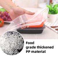 China Leak Proof Plastic Food Storage Boxes Disposable Take Away Packaging for sale