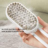 China Plastic 3 in 1 Silicone Pet Steamy Grooming Brush Steam Hair Removal Tool Comb Dog Cat Self Cleaning Spray Brush for sale