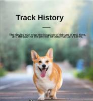 China GPS WIFI Pet Tracker 2024 Multi-function Locator Smart Dog Collar with Battery Life 20 hours and Button Battery CR2032 for sale