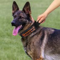 China REPTILES Heavy Duty Nylon Tactical Dog Collar Custom Comfort Adjustable Buckle Pet Collar with Customized Logo for sale