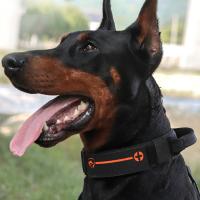 China REPTILES Heavy Duty Nylon Tactical Dog Collar Custom Comfort Adjustable Buckle Pet Collar with Customized Logo for sale