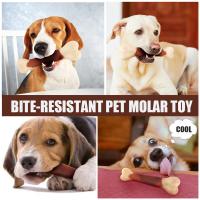 China Custom Bulk Dog Toys Sustainable Manufacturer of Unique Designs Essential Pet Teething Toy for Every Pet for sale