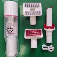 China 2 in 1 Cordless Handheld Vacuum Cleaner Lightweight Grooming Deshedding Pet Vacuum Cleaner with Slicker Brush for Dogs Cats Hair for sale