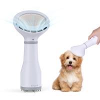 China 2 in 1 Portable Slicker Brush 2 Speed Temperature Settings Pet Grooming Hair Dryer Cat Hair Comb for sale