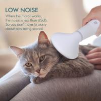 China 2 in 1 Portable Slicker Brush 2 Speed Temperature Settings Pet Grooming Hair Dryer Cat Hair Comb for sale