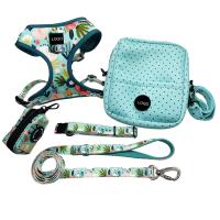 China OEM ODM Customization Service Provided Adjustable Cute Dog Collar Leash Harness Vest Set for Heavy Duty Puppy for sale