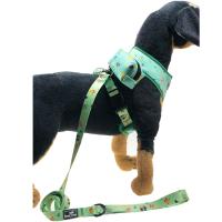 China OEM ODM Customization Service Provided Adjustable Cute Dog Collar Leash Harness Vest Set for Heavy Duty Puppy for sale