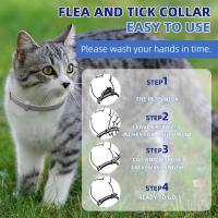 China Solid Pattern Anti-Flea Tick Mosquito Durable Adjustable Silicone Pet Collar for Dogs Cats Stocked and Natural Formula for sale