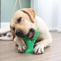 China Custom Cotton Relieves Stress 12 Pack Dog Rope Toys Dog Toys Set 12 Pack Dog Teeth Clean Cotton Rope Toy for sale