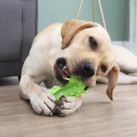 China Custom Cotton Relieves Stress 12 Pack Dog Rope Toys Dog Toys Set 12 Pack Dog Teeth Clean Cotton Rope Toy for sale
