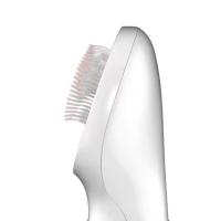 China 2025 2 in 1 Grooming Pet Hair Dryer Dog Slicker Brush With Blowing Function for Cats and Dogs Smoothing 1 Hour Charging Time for sale