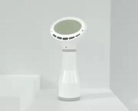 China 2025 2 in 1 Grooming Pet Hair Dryer Dog Slicker Brush With Blowing Function for Cats and Dogs Smoothing 1 Hour Charging Time for sale