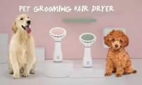 China 2025 2 in 1 Grooming Pet Hair Dryer Dog Slicker Brush With Blowing Function for Cats and Dogs Smoothing 1 Hour Charging Time for sale