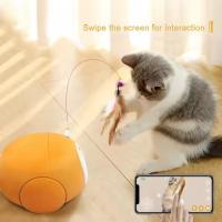 China 2025 New Automatic Electric Cat Toy Turntable Funny Usb Rechargeable Toy Feather Teaser Smart Toy for sale