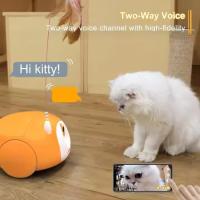 China 2025 New Automatic Electric Cat Toy Turntable Funny Usb Rechargeable Toy Feather Teaser Smart Toy for sale