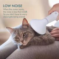 China 2025 Arrivals Dog Cat Mini 2 in 1 Cleaning Multifunction Grooming Pet Dryer Brush Pet Hair Dryer Comb Pet Grooming Tool for sale