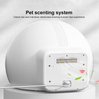 China CHARGE Power Source Smart Temperature Control Low Noise Automatic Grooming Pet Dryer Machine Box Hair Dryer for Cat for sale