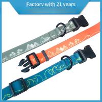 China Manufacturer Wholesale Own Design Printing Rubber Coated Custom Waterproof Dog Collar and Leash for sale