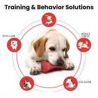 China Smart Pet Toys Set Squeaky Toothbrush Toys Interactive Durable Chew Dog Toys for Dogs Aggressive Chewers for sale