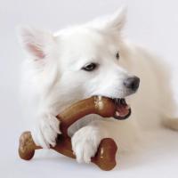 China Benebone Wishbone Sturdy Food Grade Dog Chew Toy for Aggressive Chewers Giant Real Bacon Flavor Tough Nylon Bone Dog Toy for sale