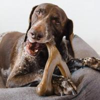 China Benebone Wishbone Sturdy Food Grade Dog Chew Toy for Aggressive Chewers Giant Real Bacon Flavor Tough Nylon Bone Dog Toy for sale