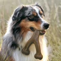 China Benebone Wishbone Sturdy Food Grade Dog Chew Toy for Aggressive Chewers Giant Real Bacon Flavor Tough Nylon Bone Dog Toy for sale