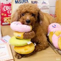 China Indoor Eco-friendly Bagel Bread Bite Sound Plush Toy for Dogs Hidden Food Smell Foreign Trade for sale