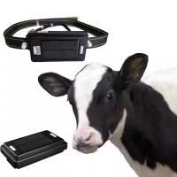 China Long Battery Life 20000mAh Solar Power Collar GPS Tracking for Livestock Cows Waterproof IP67 GPS Tracker 4G Tracker for Cattle for sale